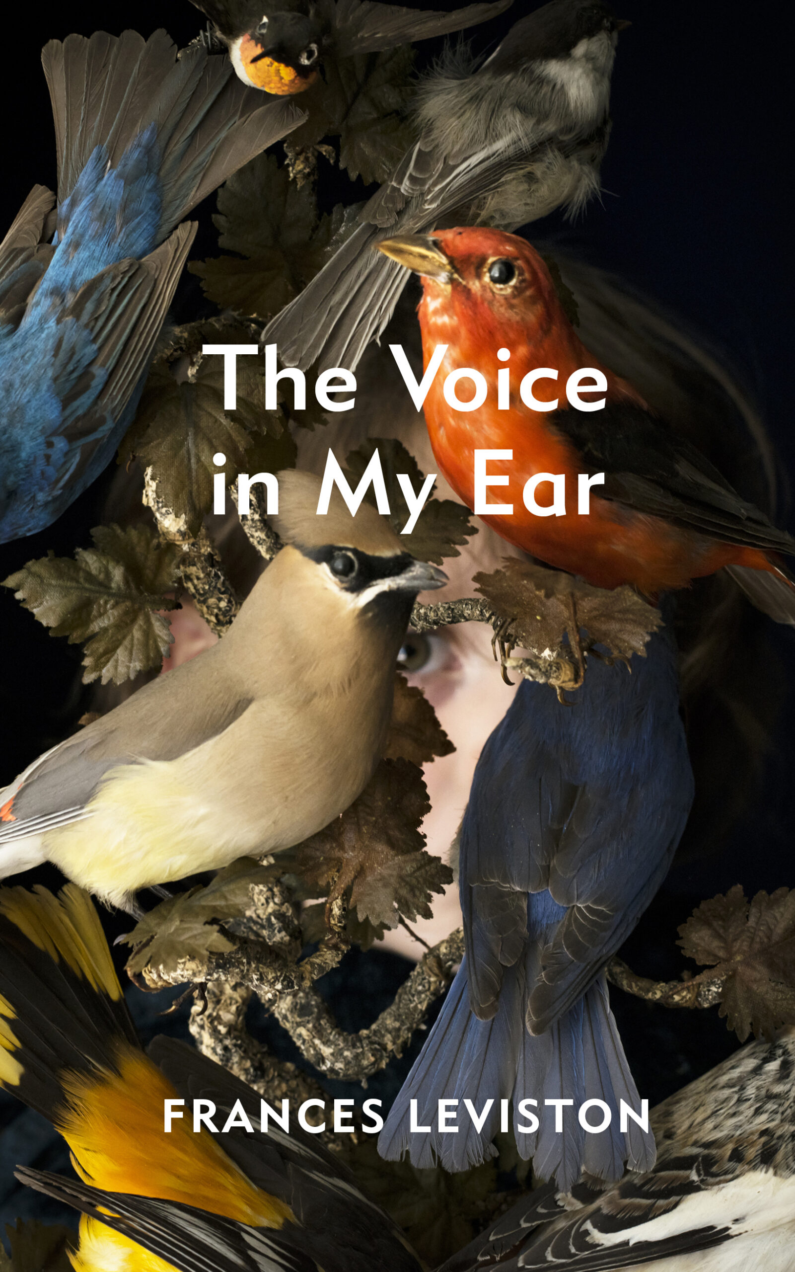 The Voice in My Ear (2020)